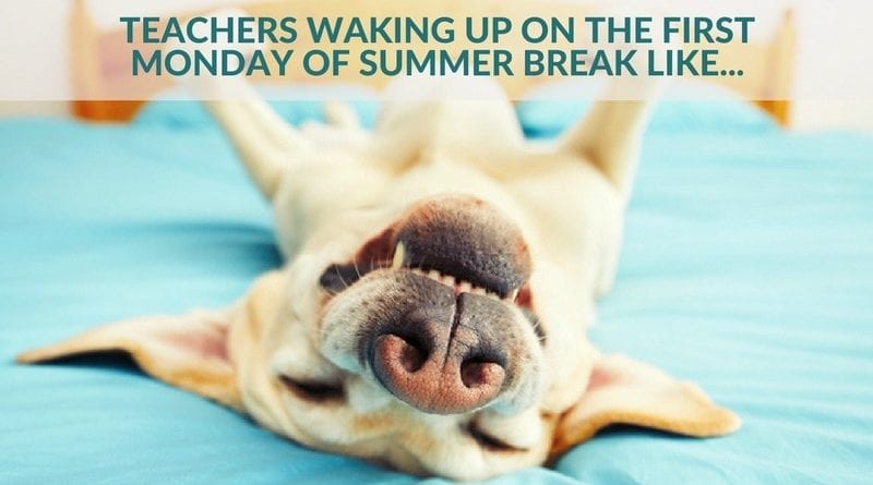 Our Favorite Teacher Memes for this Summer | Plymouth Rock Teachers Lounge