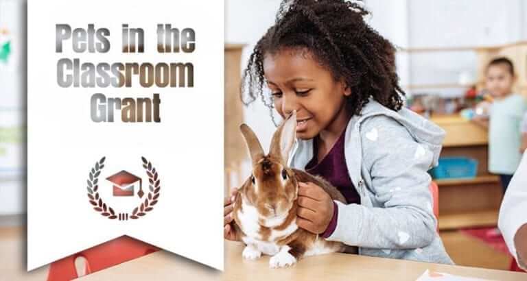 Pets In The Classroom Grant | Plymouth Rock Teachers Lounge