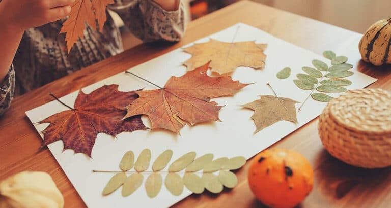 5 Fun Fall Art Projects For Your Students